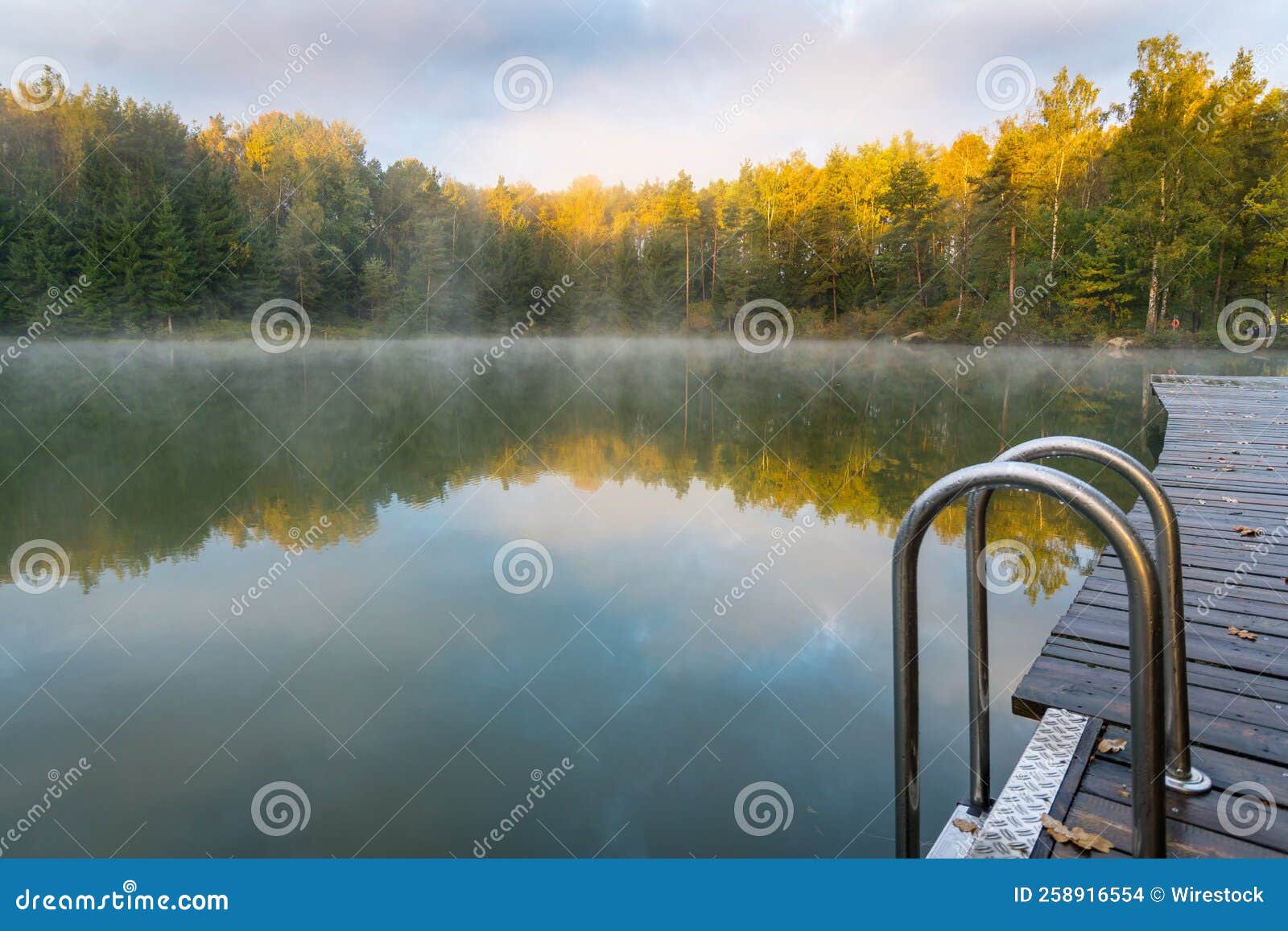 Beautiful View of a Reflective Bathing Pond in a Forest during Sunset ...