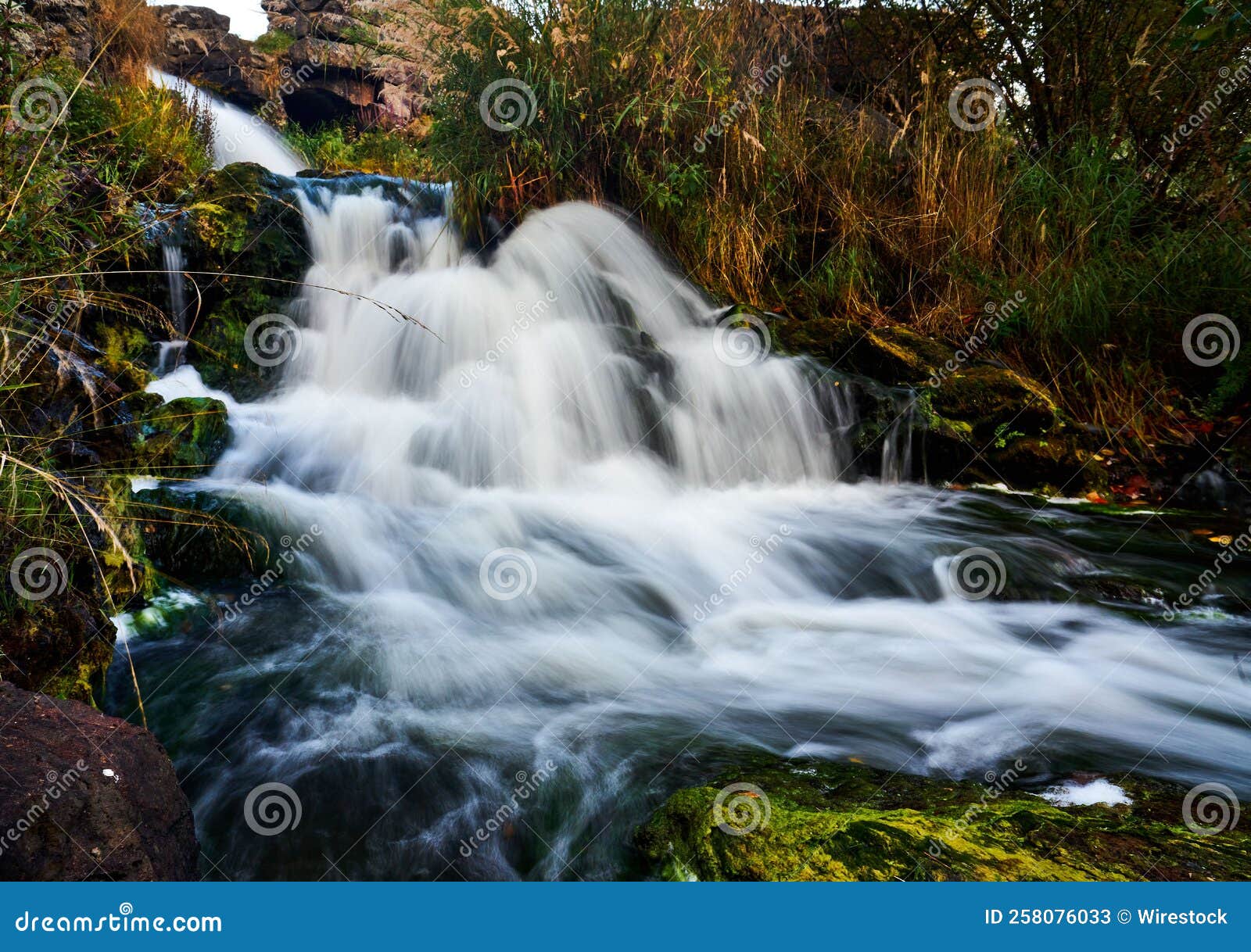Beautiful View of a River Flows Over Rocks through the Woods Stock ...