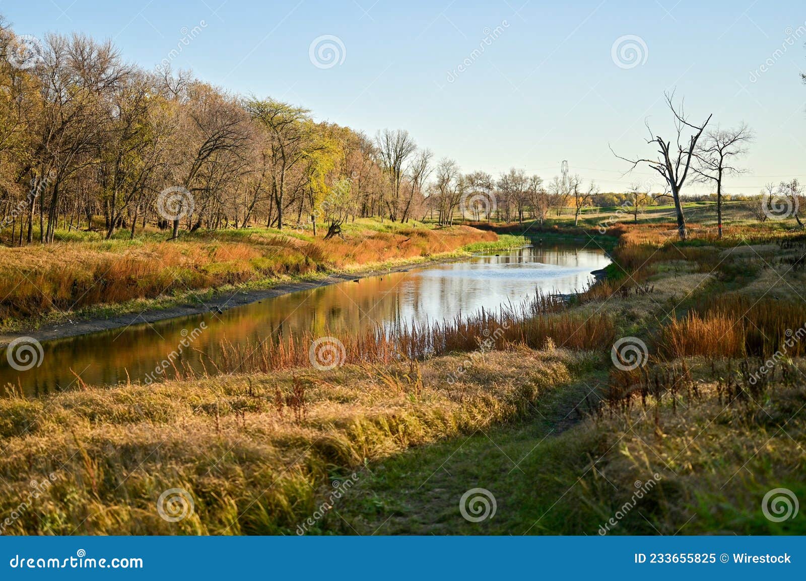 Beautiful View of a River Surrounded by Grass and Trees Stock Image ...