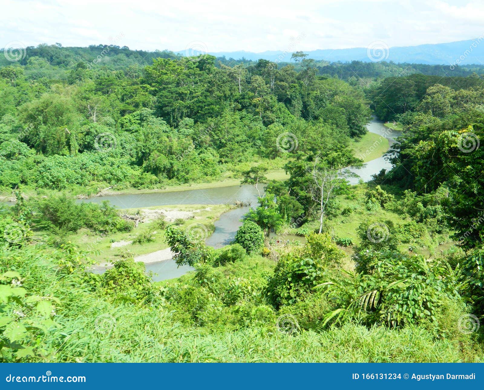 The Beautiful View of the River Stock Photo - Image of beautiful, tree ...
