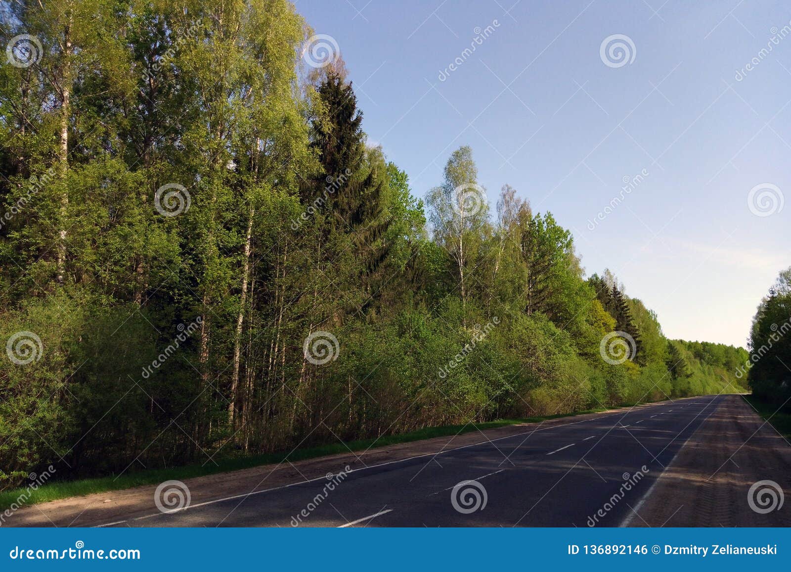 Beautiful View of the Road Surrounded by Green Trees Stock Photo ...