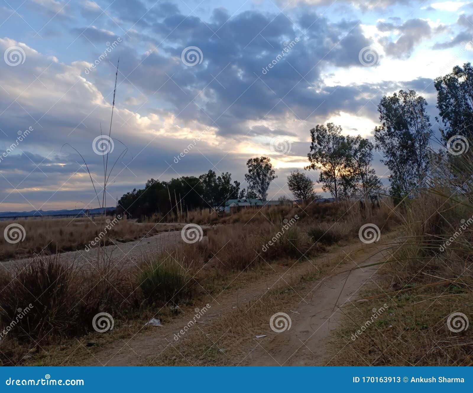 Beautiful View of Rural Area in India in the Evening. Stock Image ...