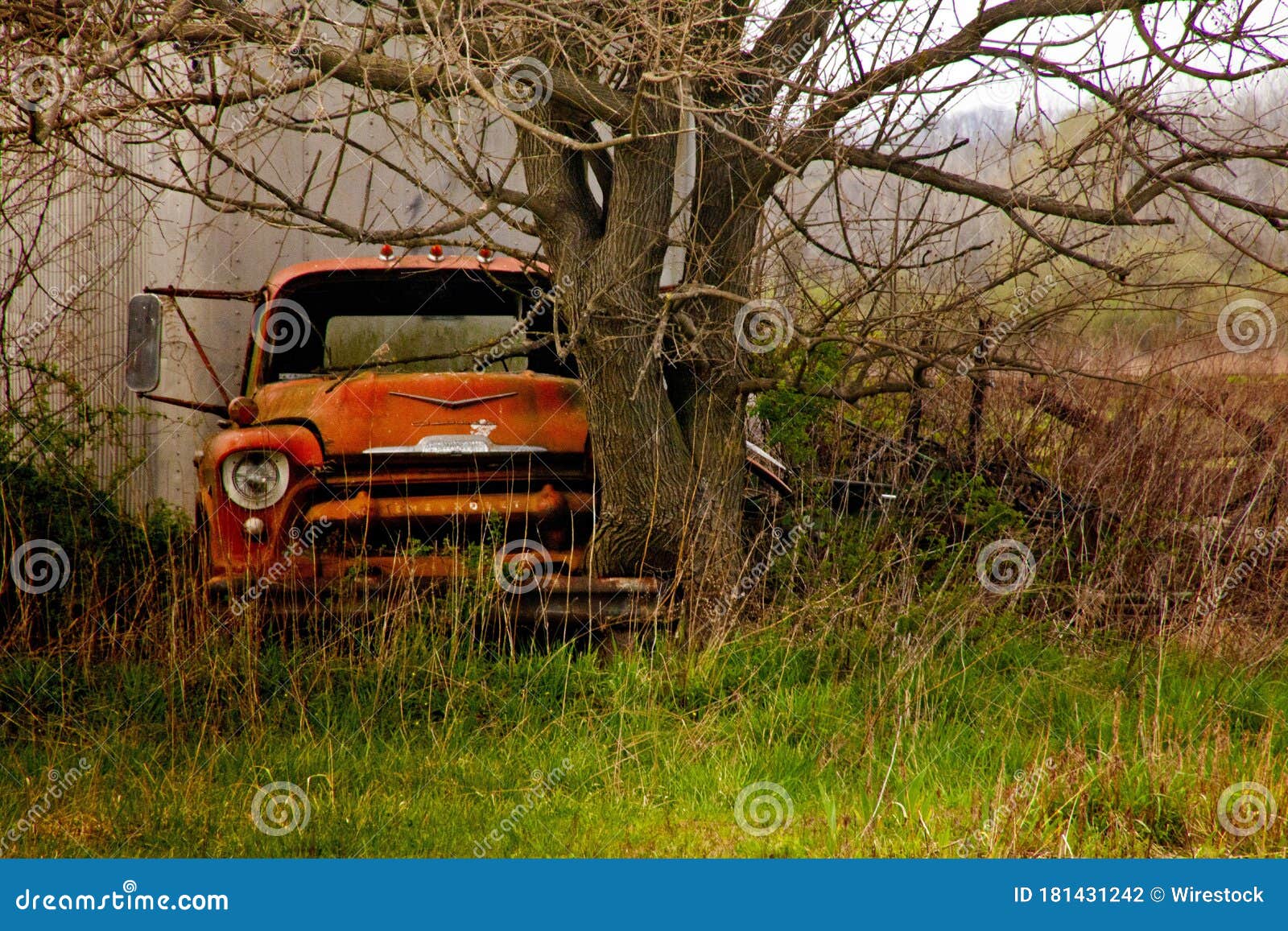 Beautiful View of a Rusty and Abandoned Truck by a Tree on a Grass ...