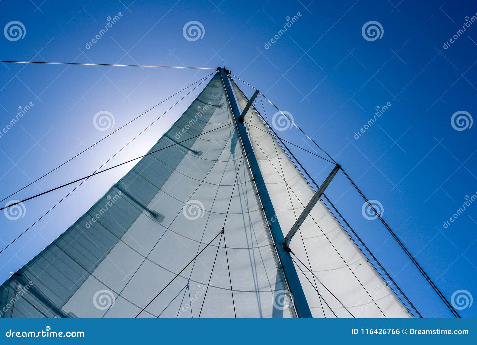 A sail in the wind stock photo. Image of team, horizon - 116426766