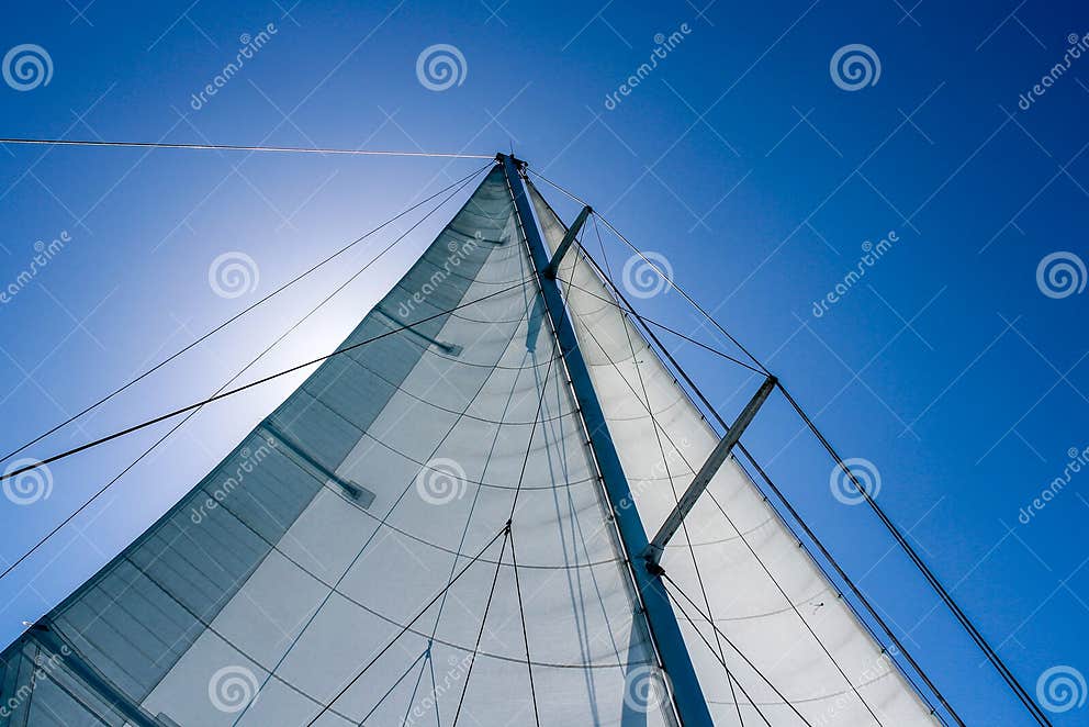 A sail in the wind stock photo. Image of team, horizon - 116426766