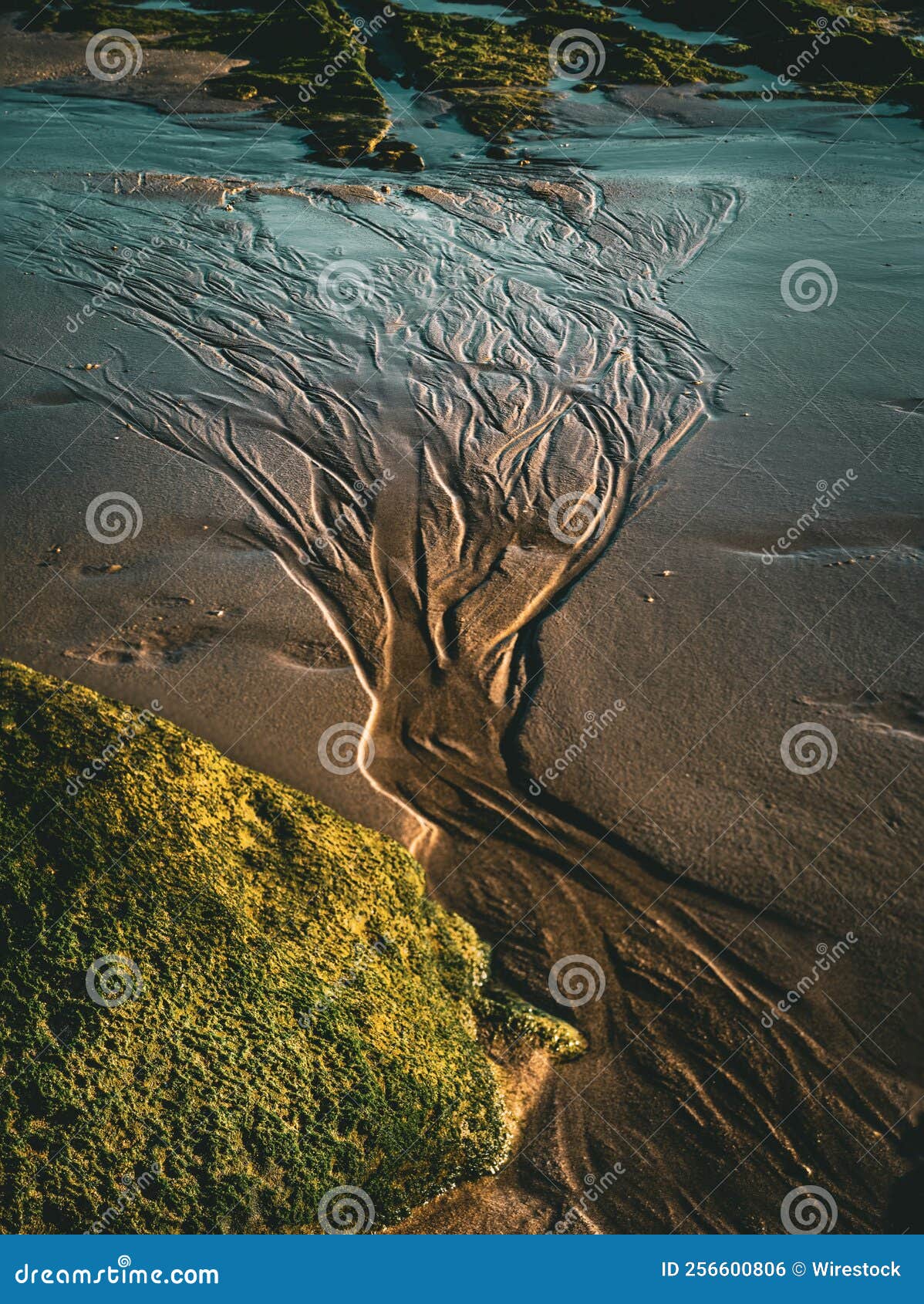 Beautiful View of Sand with Interesting Texture on it. Stock Photo ...