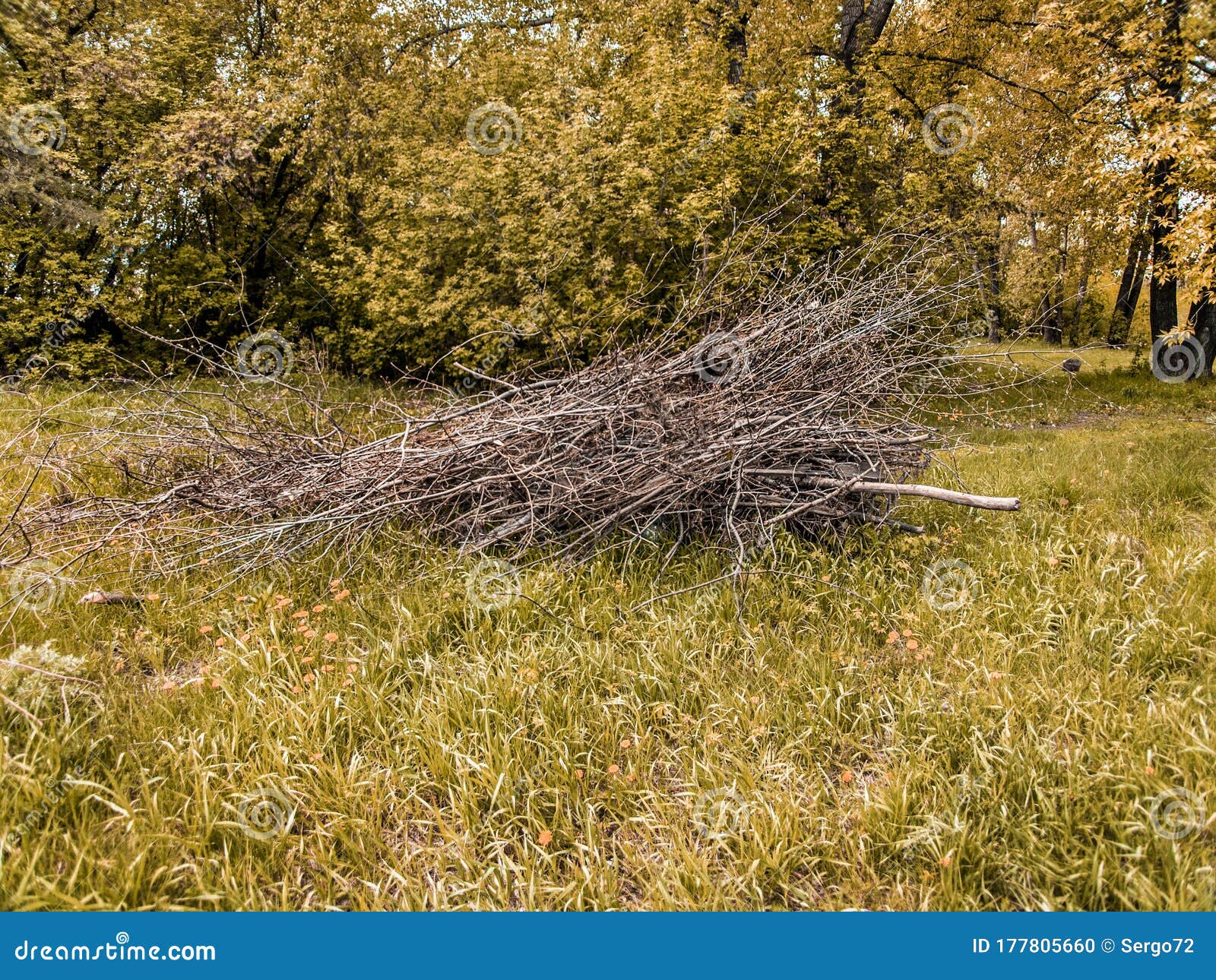 A Beautiful View of the Scene and Objects Stock Photo - Image of view ...