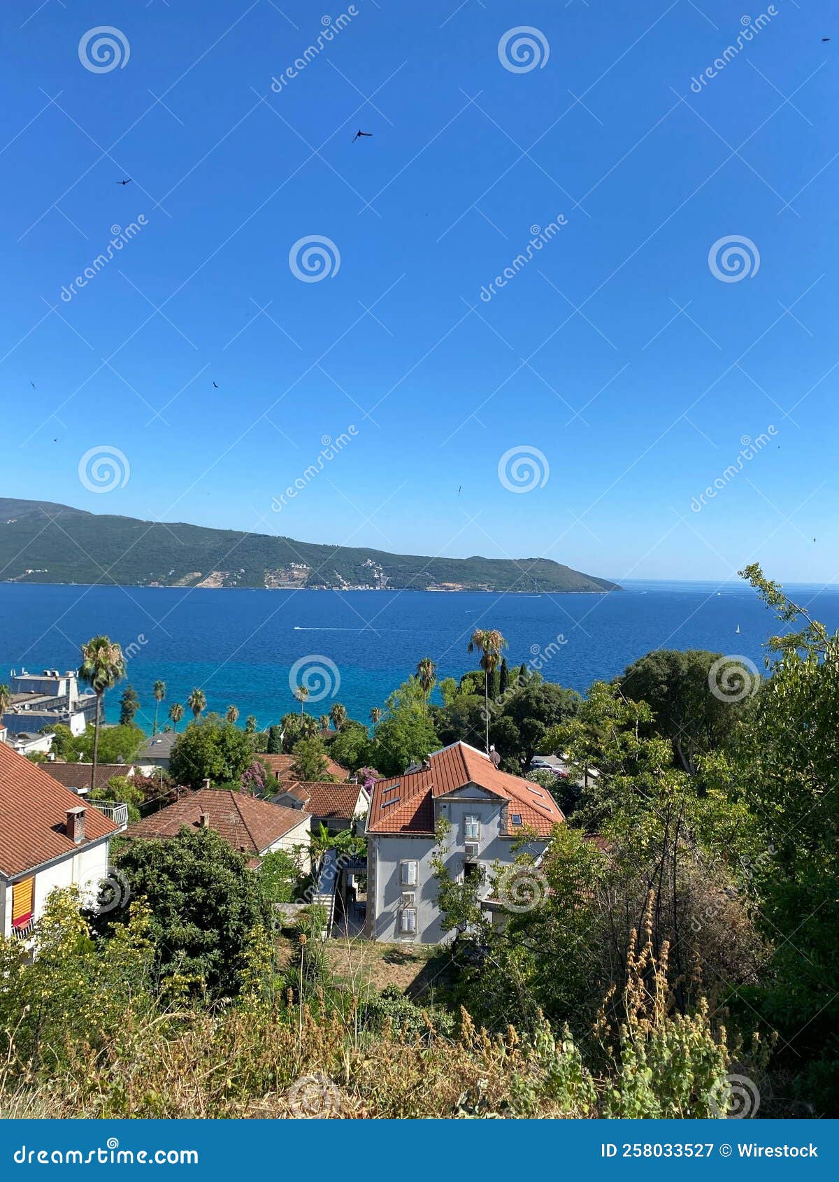 Beautiful View of the Sea and Buildings on the Coast. Stock Image ...