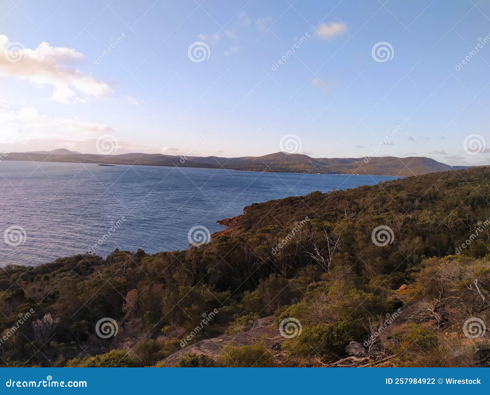 Beautiful View of Sea Surrounded by Trees Stock Photo - Image of ocean ...