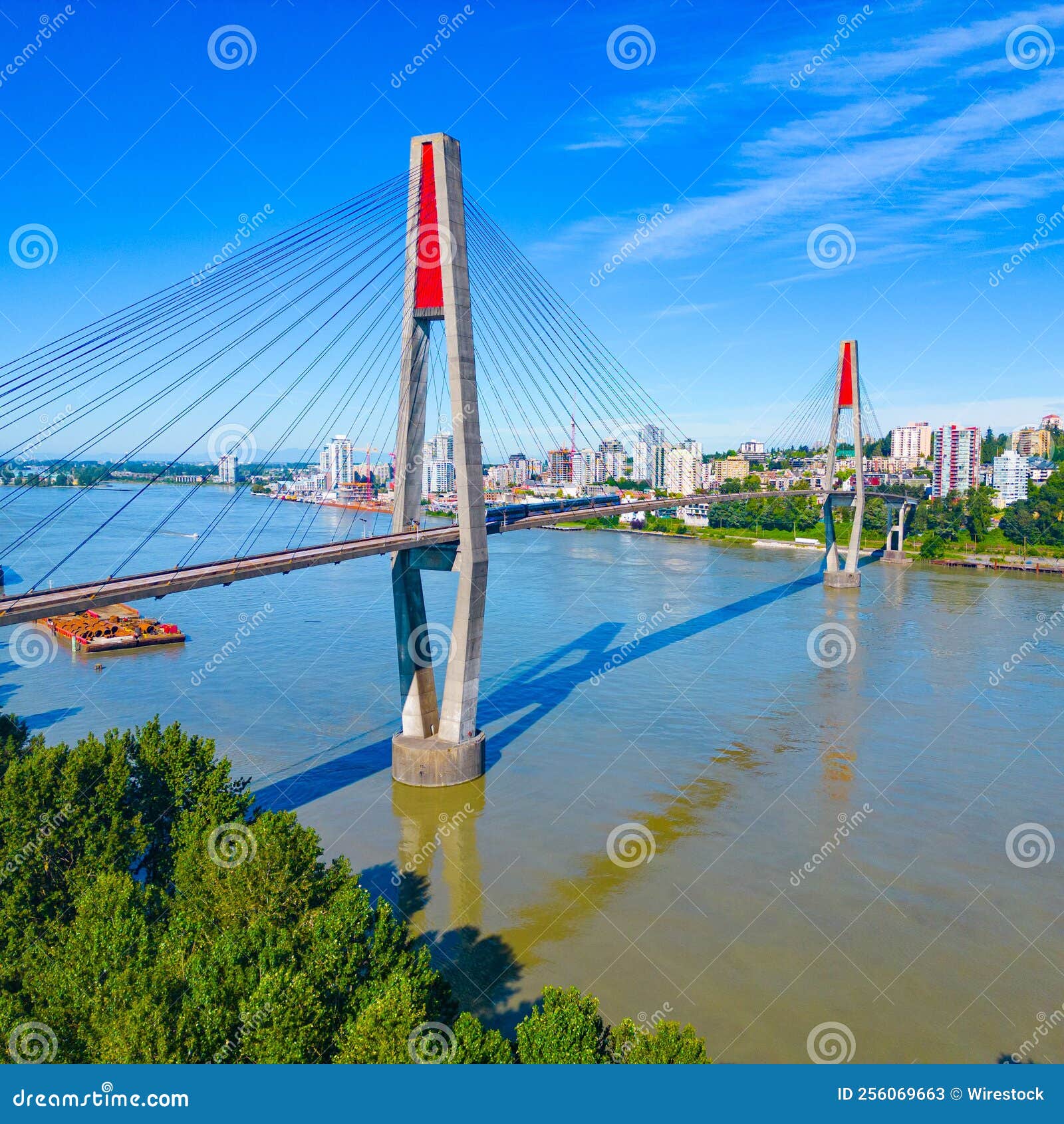 Beautiful View of the SkyBridge, Cable-stayed Bridge in Surrey, Canada ...