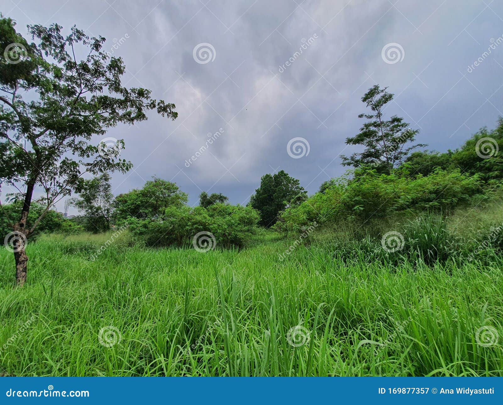 Beautiful View from South City Road Tangerang West Java Indonesia Stock ...