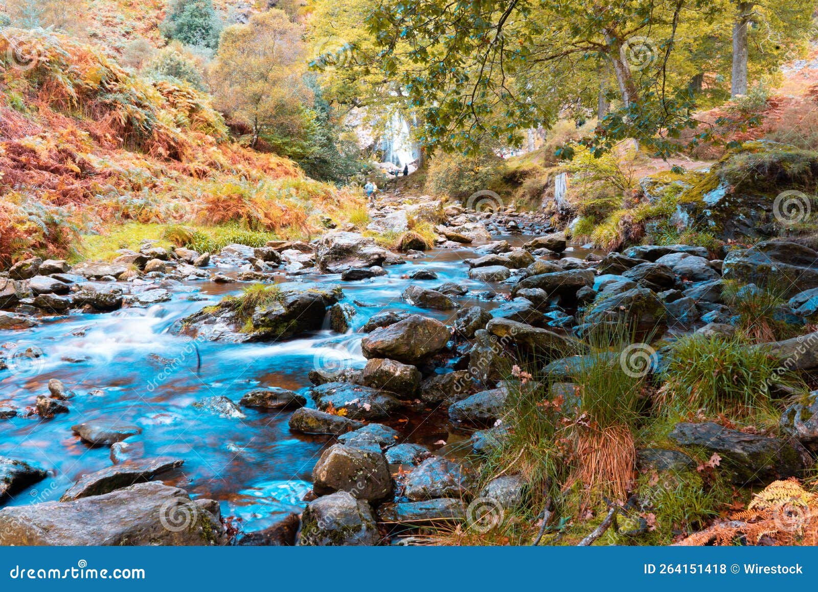 Beautiful View of a Stream with Rocks in a Forest Stock Photo - Image ...