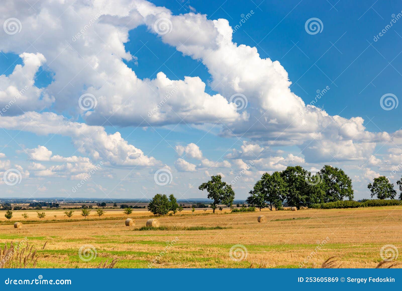 Beautiful View of the Summer Fields. Rural Landscape Stock Image ...