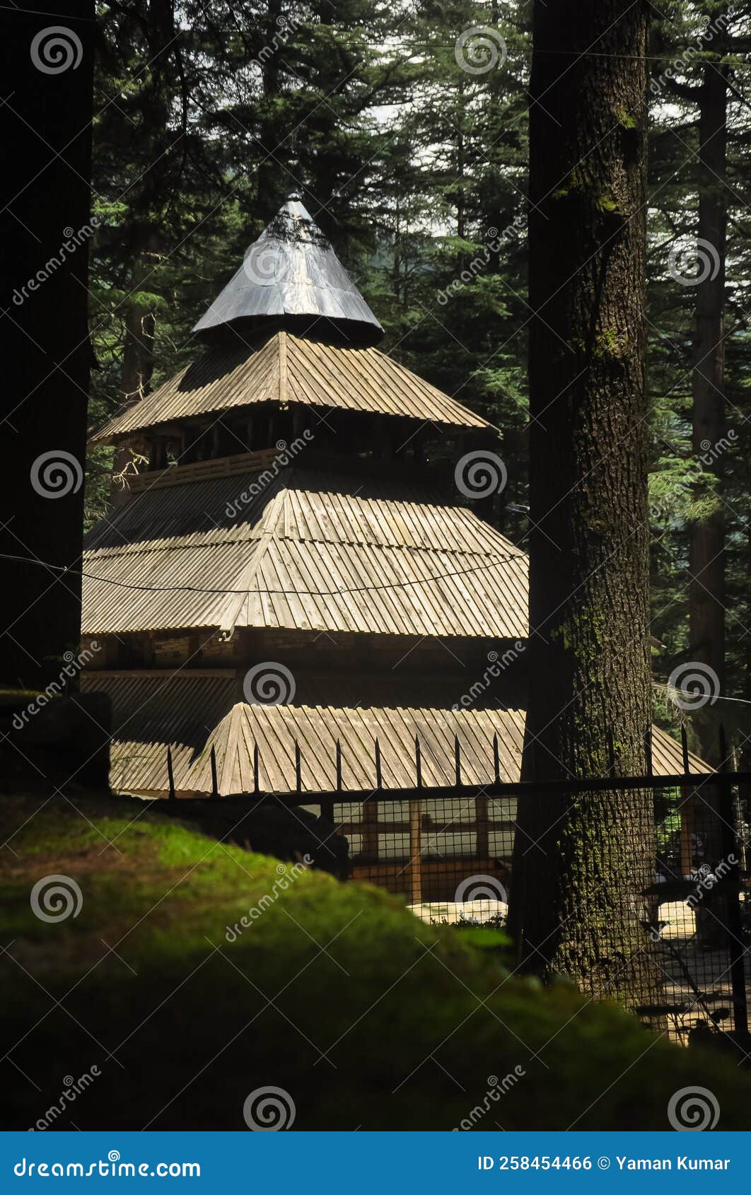 Beautiful View of Sunlight Falling on Hidimba Devi Temple from in ...