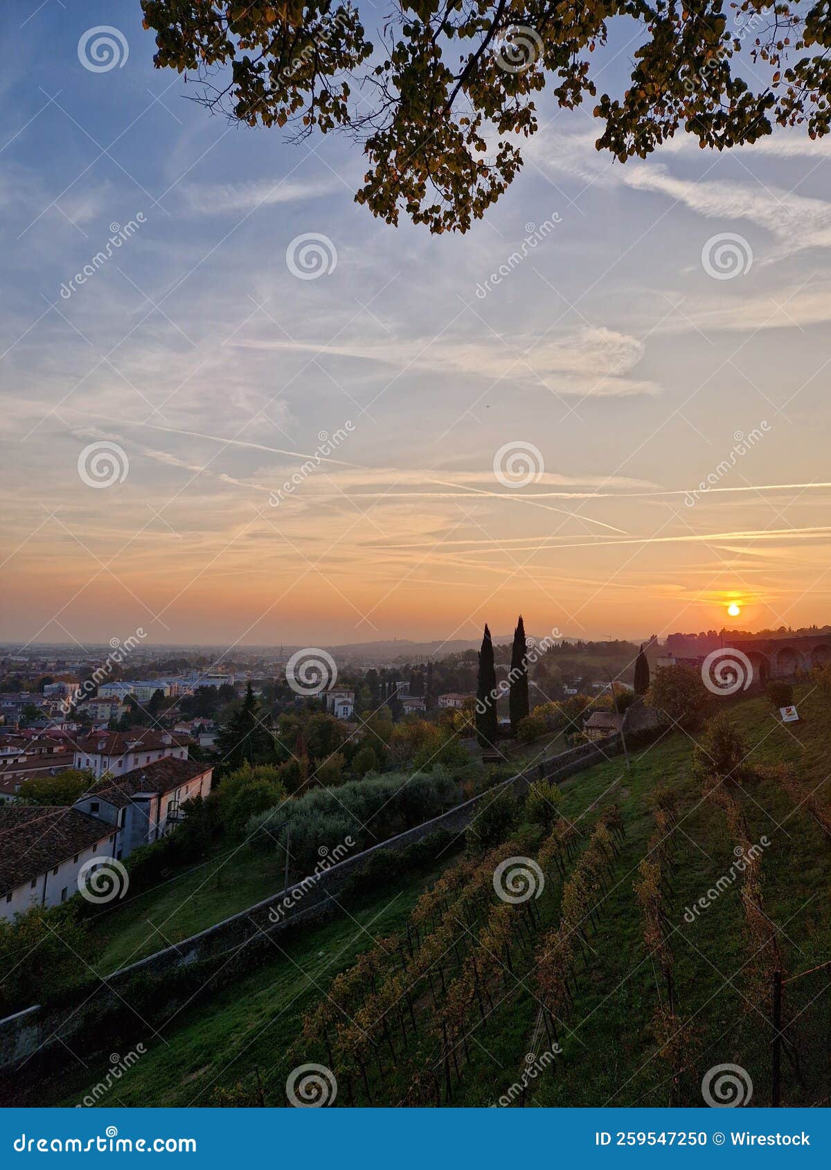 Beautiful View of the Sunset Over the Park and Buildings. Stock Photo ...