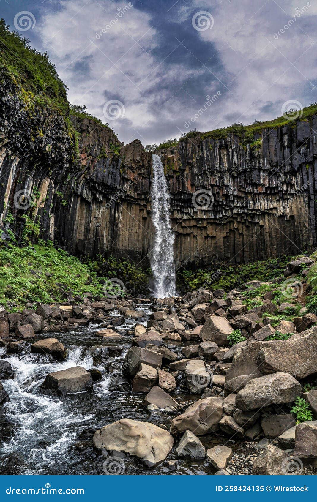 Beautiful View of Svartifoss Waterfall. Iceland Stock Image - Image of ...