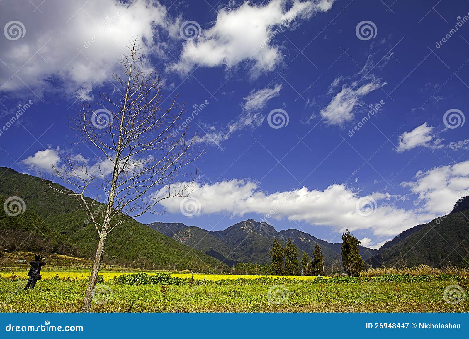 A Beautiful View of the Taiwan Alps Stock Image - Image of countryside ...