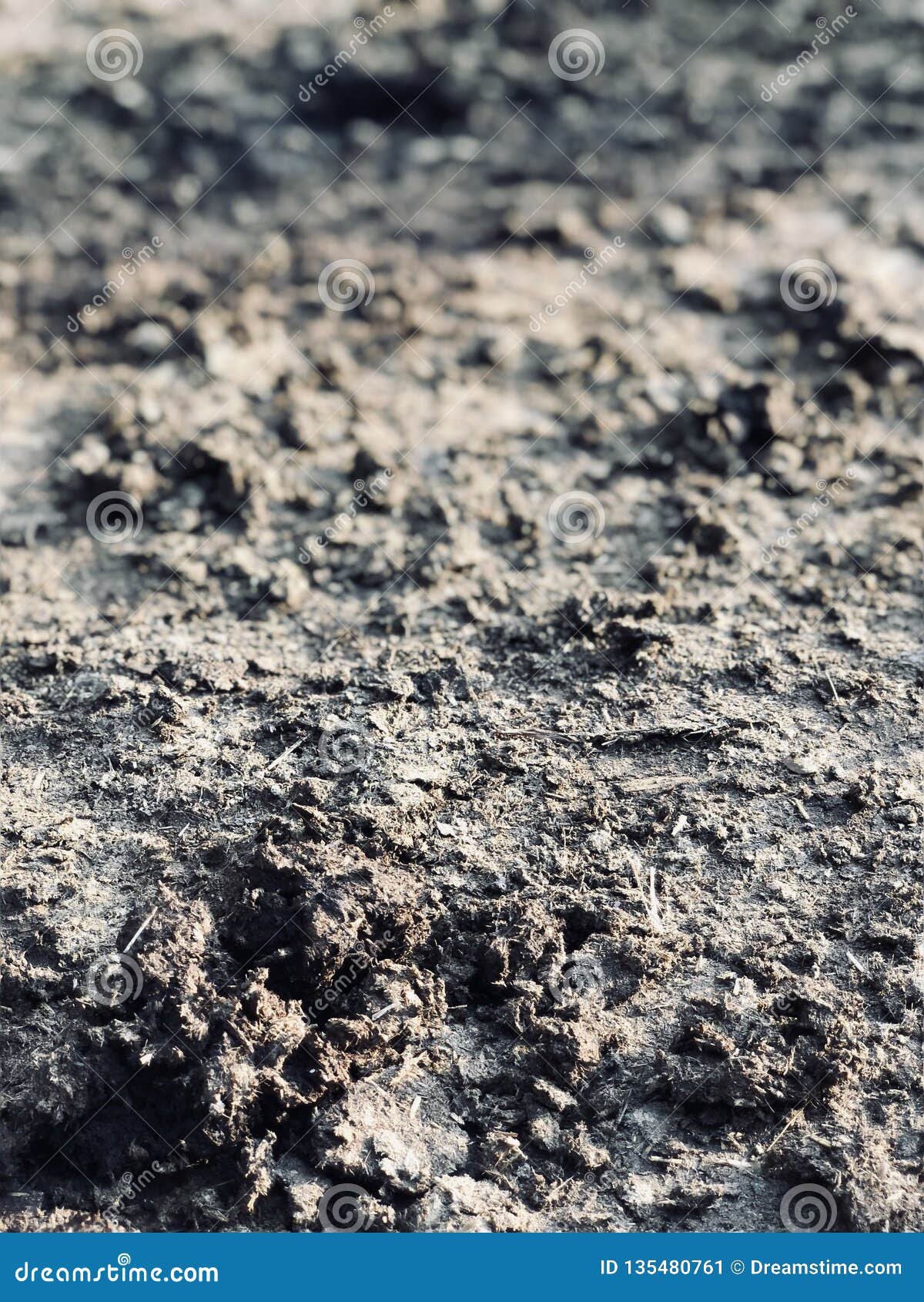 Beautiful view and texture stock image. Image of stone - 135480761