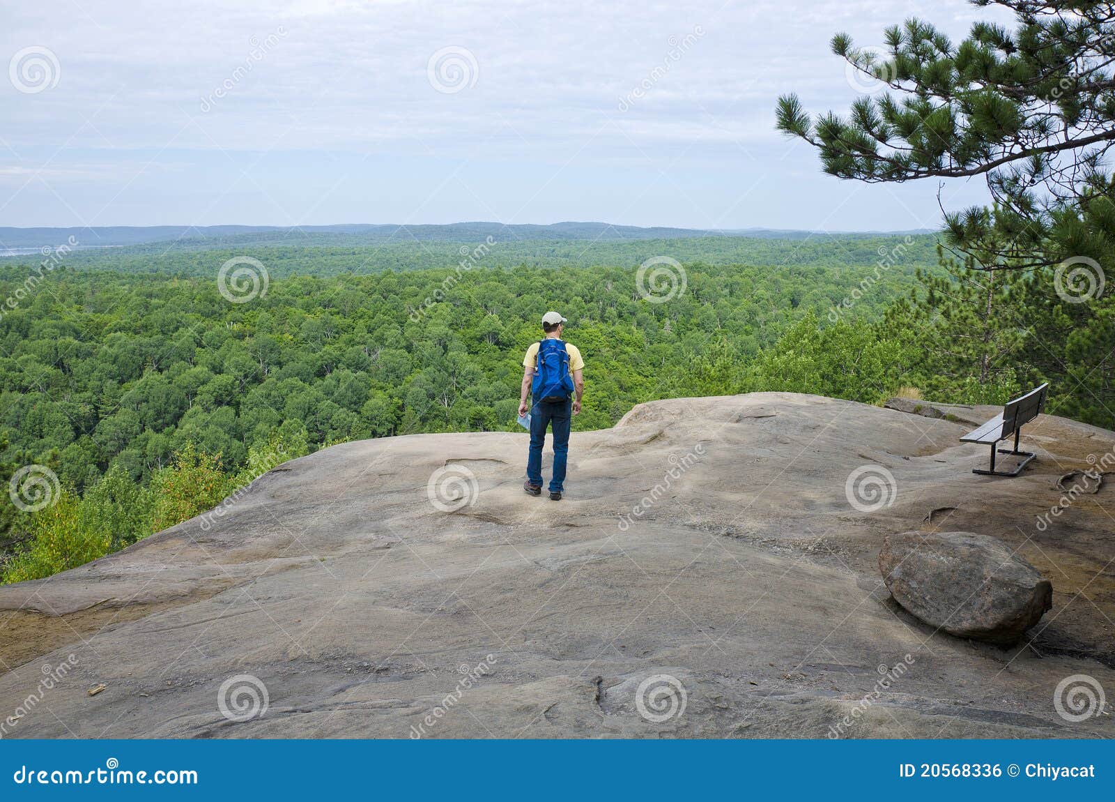 Beautiful View from Top of a Cliff Stock Photo - Image of bench, summer ...