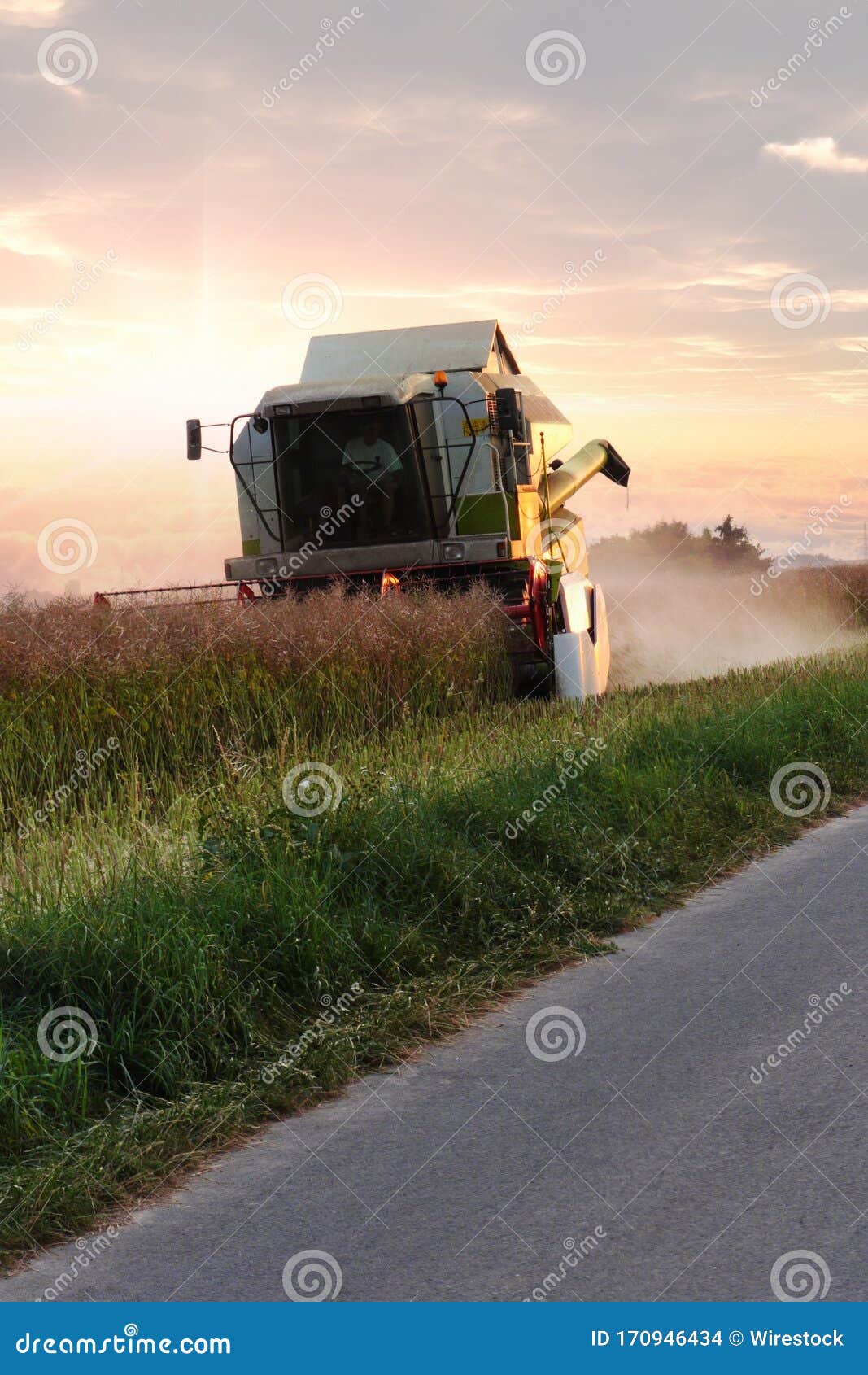 Beautiful View of a Tractor during the Reaping of the Wheat Fields ...