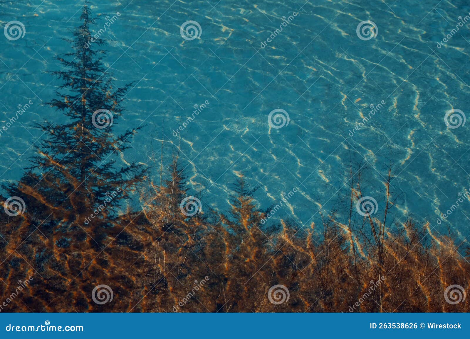 Beautiful View of Trees Reflecting in the Water. Stock Photo - Image of ...