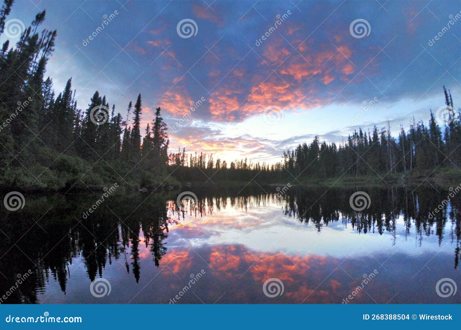 Beautiful View of Trees Reflection on Lake during Sunset Stock Photo ...