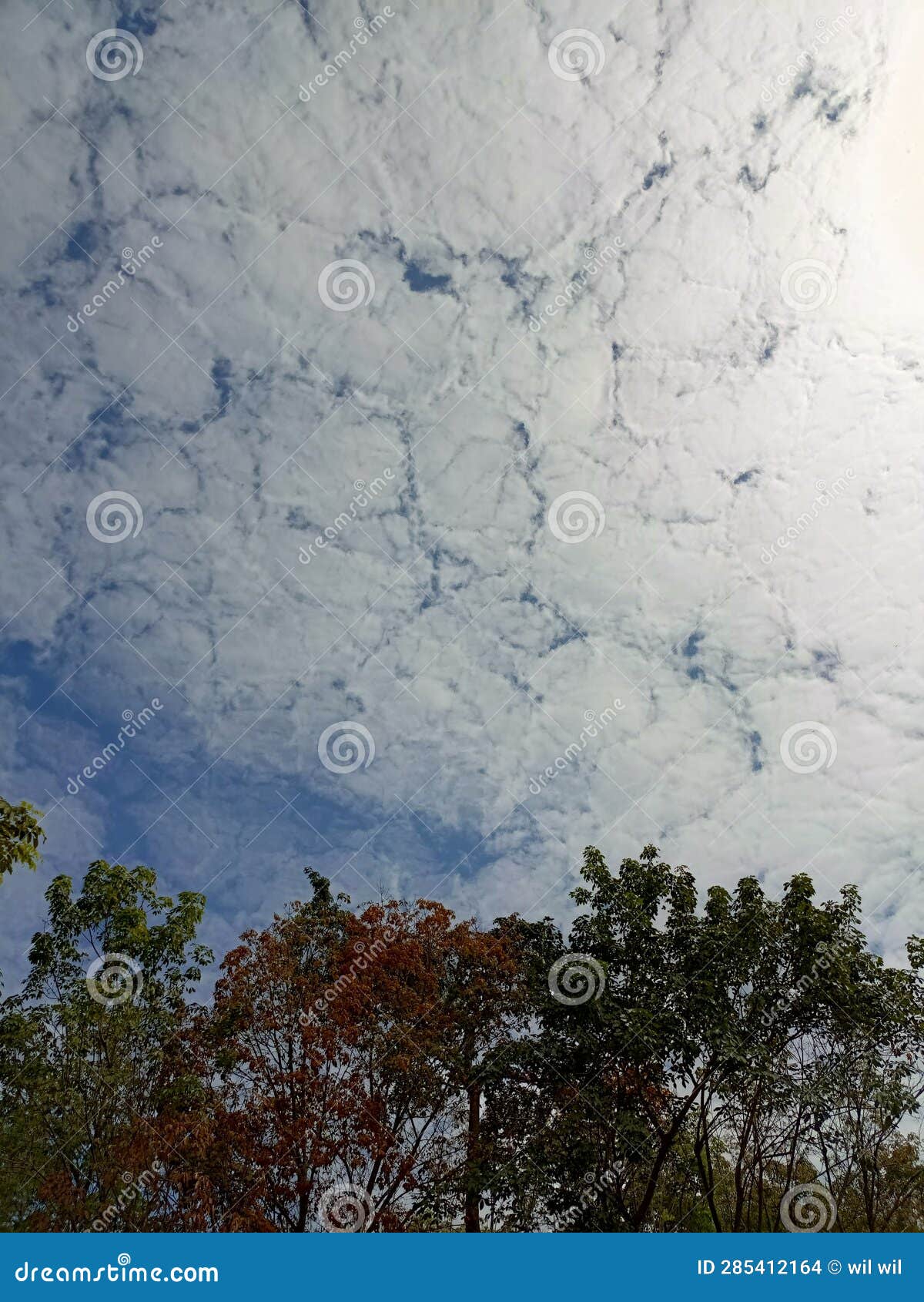 Beautiful View between Trees and Sky Stock Photo - Image of wallpaper ...