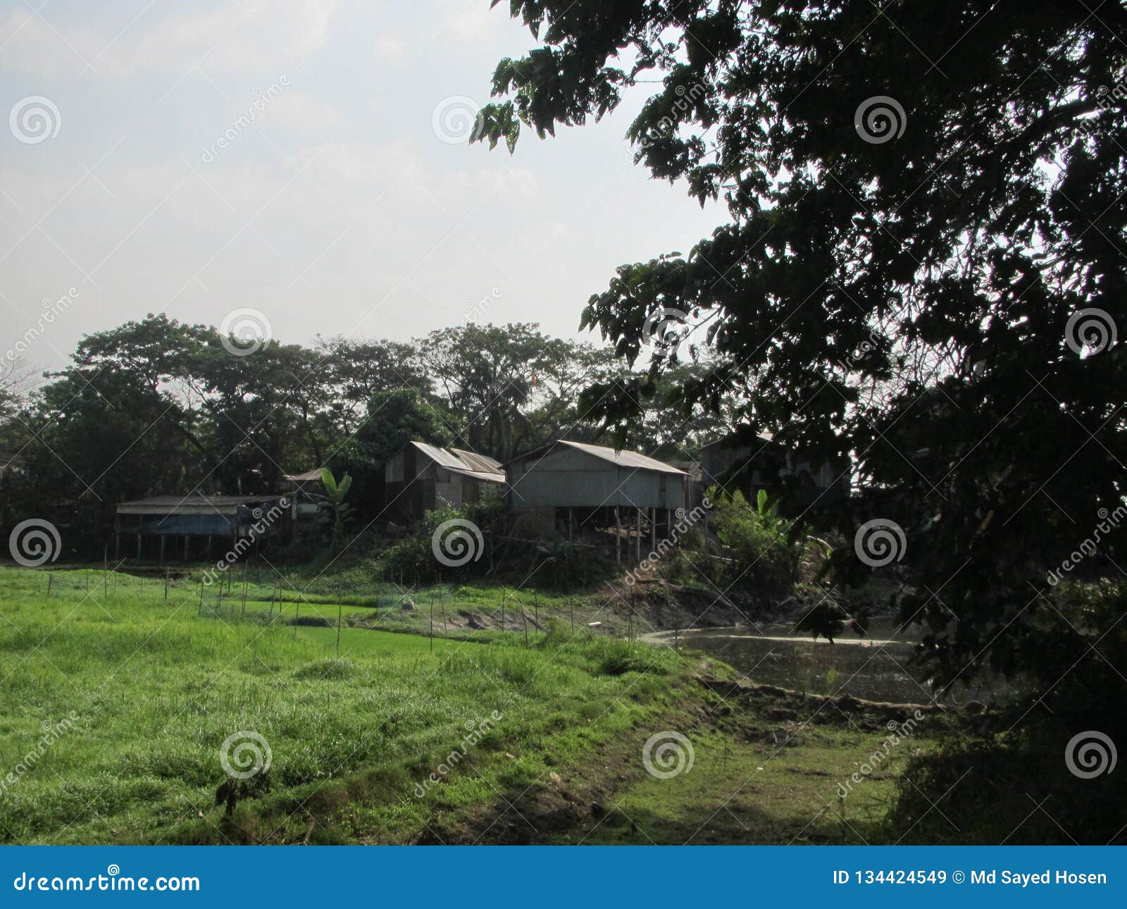 A Beautiful View of Village Stock Image - Image of color, morning ...
