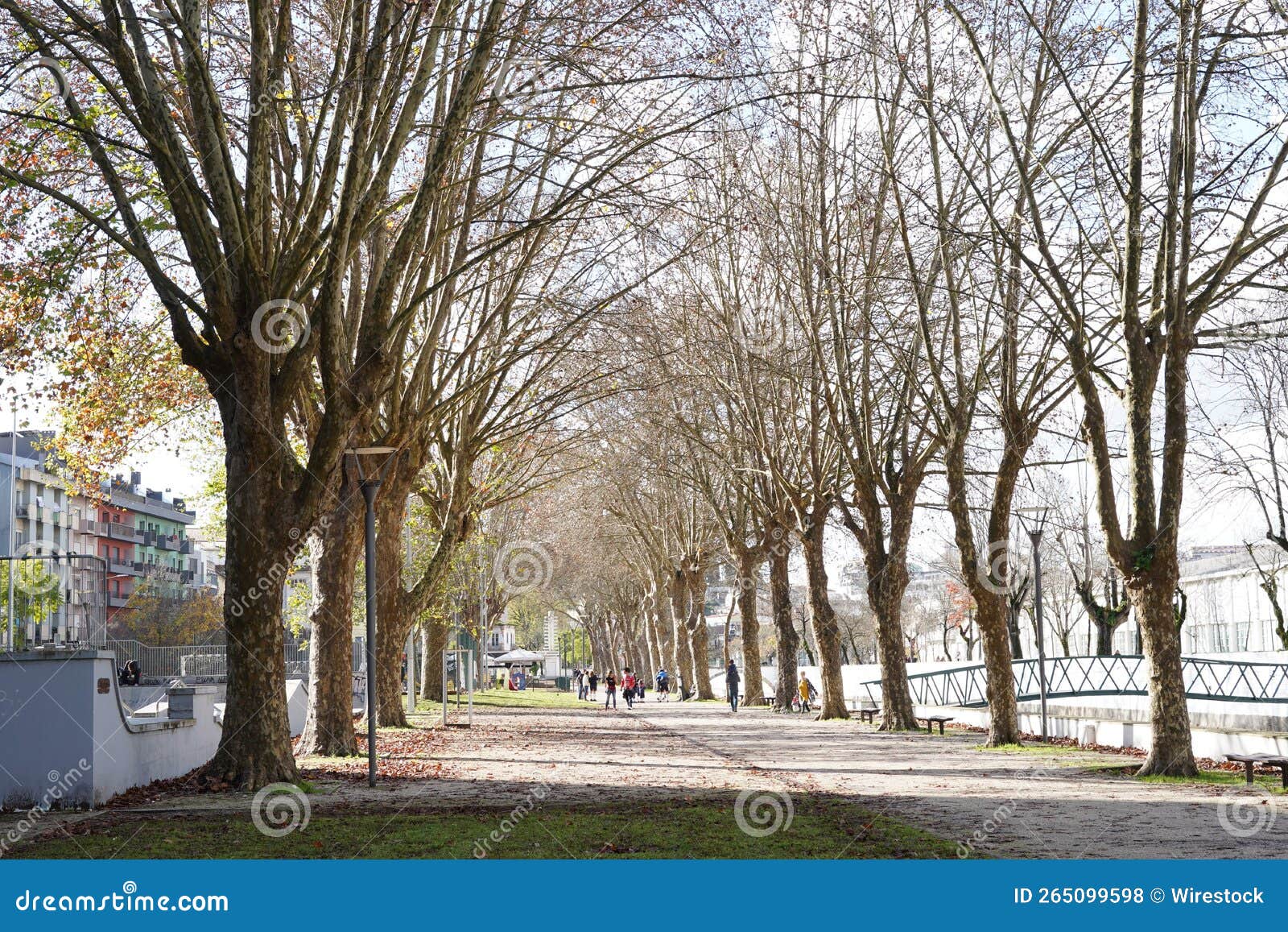 Beautiful View of Walkway in a Sunny Day Stock Photo - Image of season ...