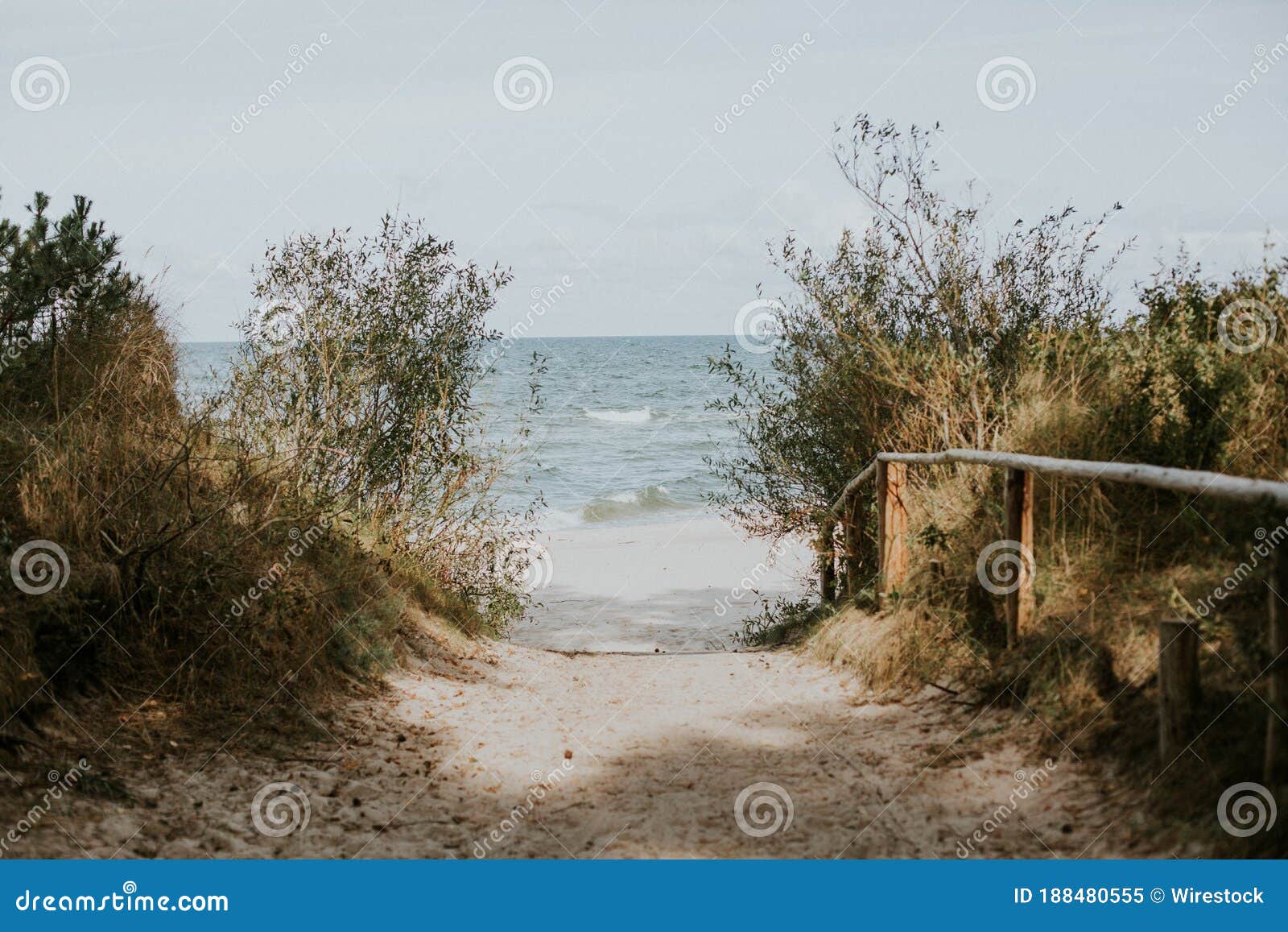 Walkway To Beach Greenery Stock Photos - Free & Royalty-Free Stock ...
