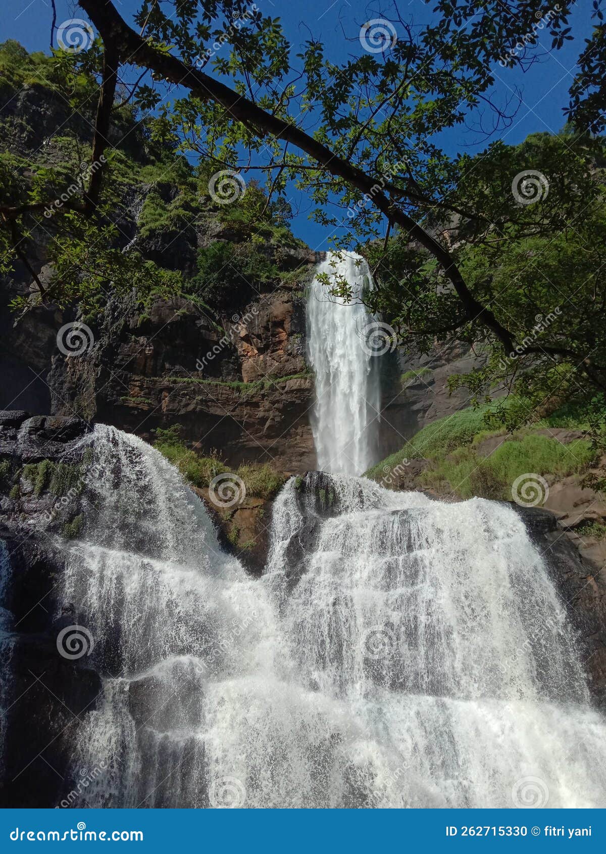 Beautiful View of a Water in the Forest Stock Photo - Image of ravine ...