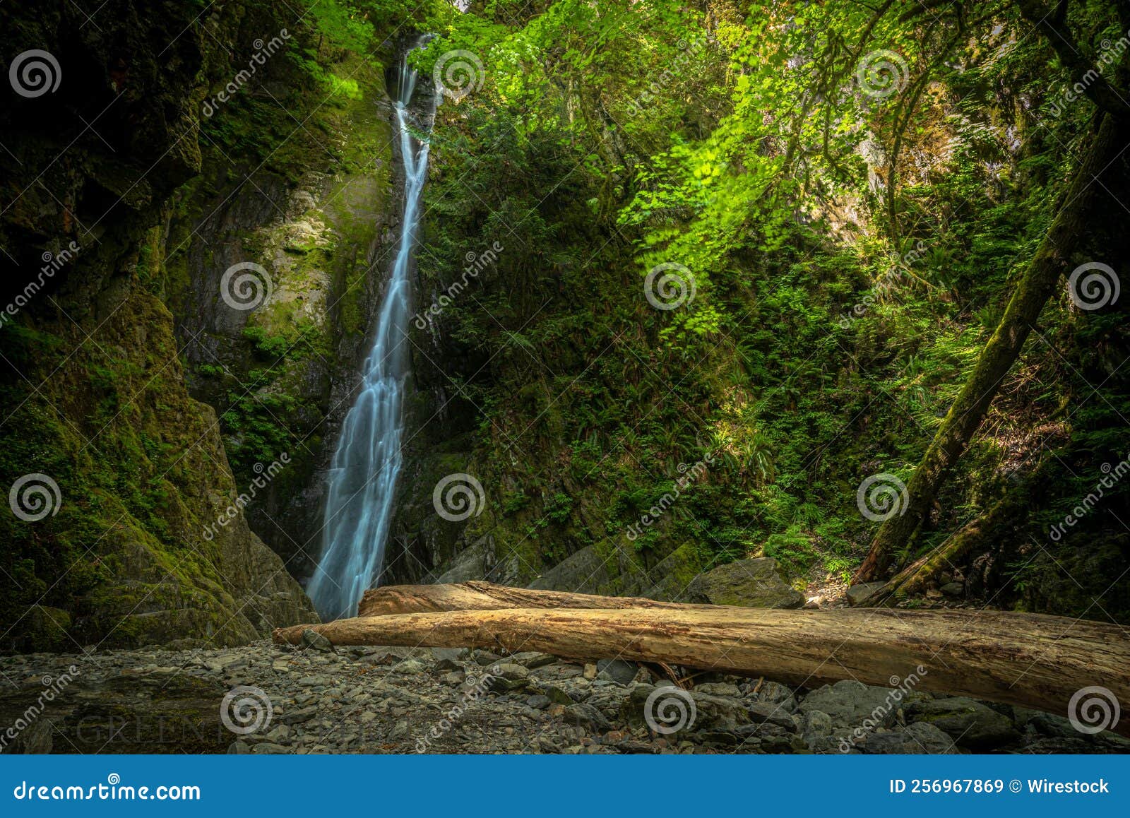 Beautiful View of a Waterfall in Goldstream Provincial Park Stock Image ...