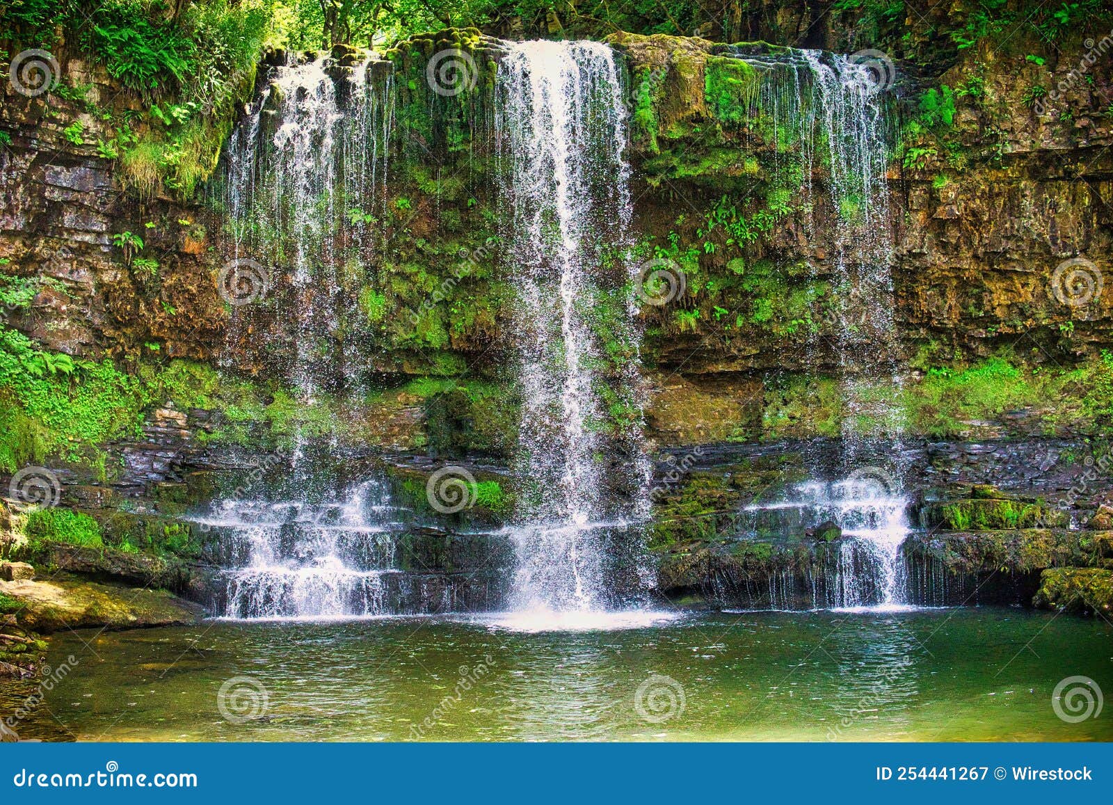 Beautiful View of a Waterfall in a Green Forest Stock Image - Image of ...