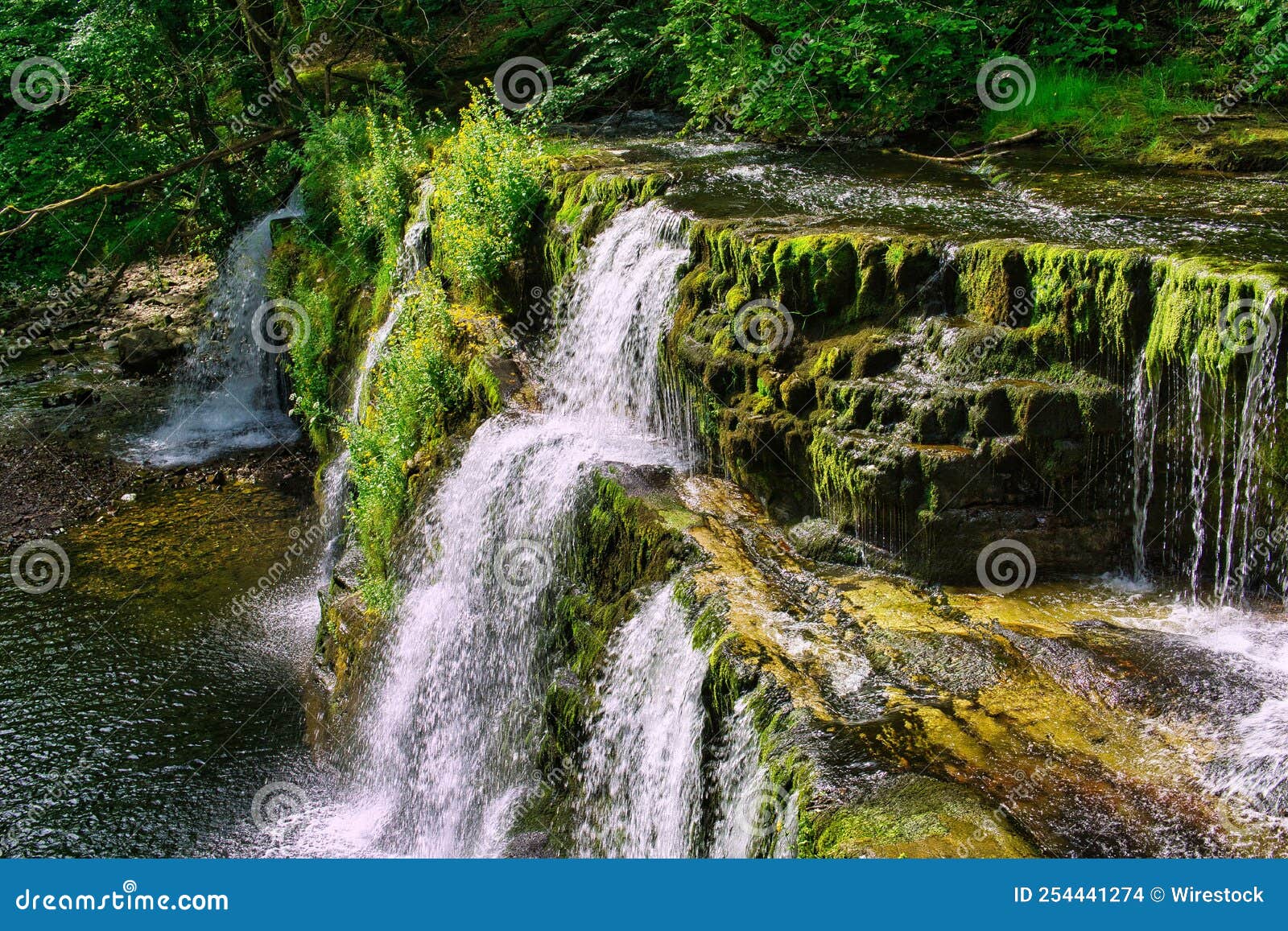 Beautiful View of a Waterfall in a Green Forest Stock Photo - Image of ...