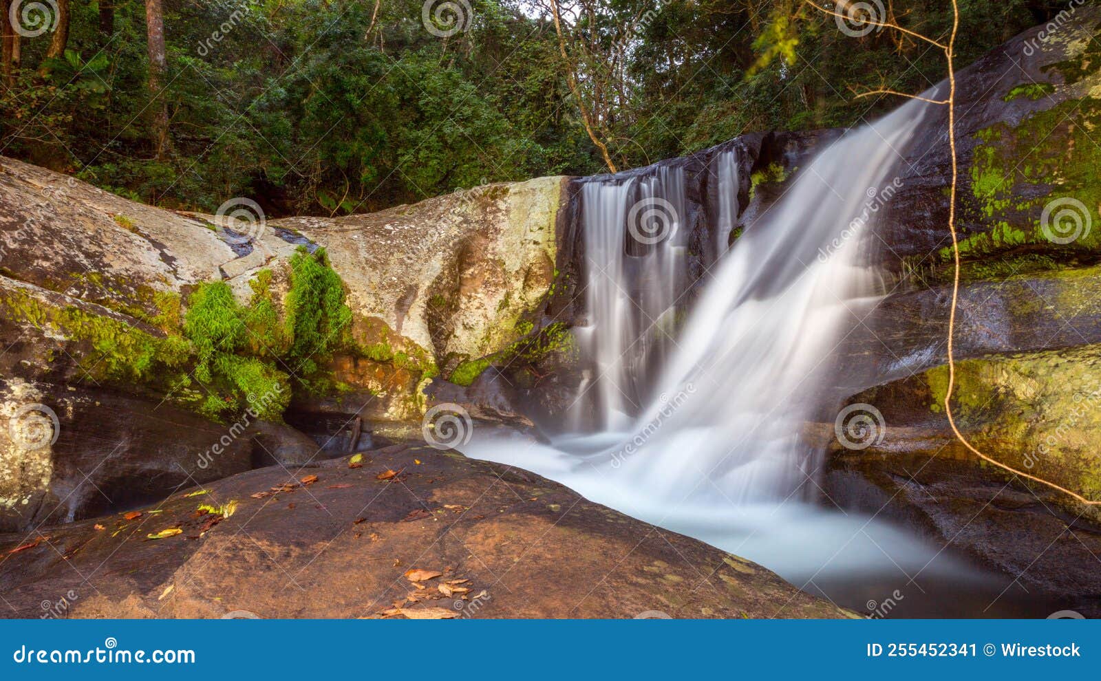 Beautiful View of a Waterfall in Motion in a Forest Stock Image - Image ...