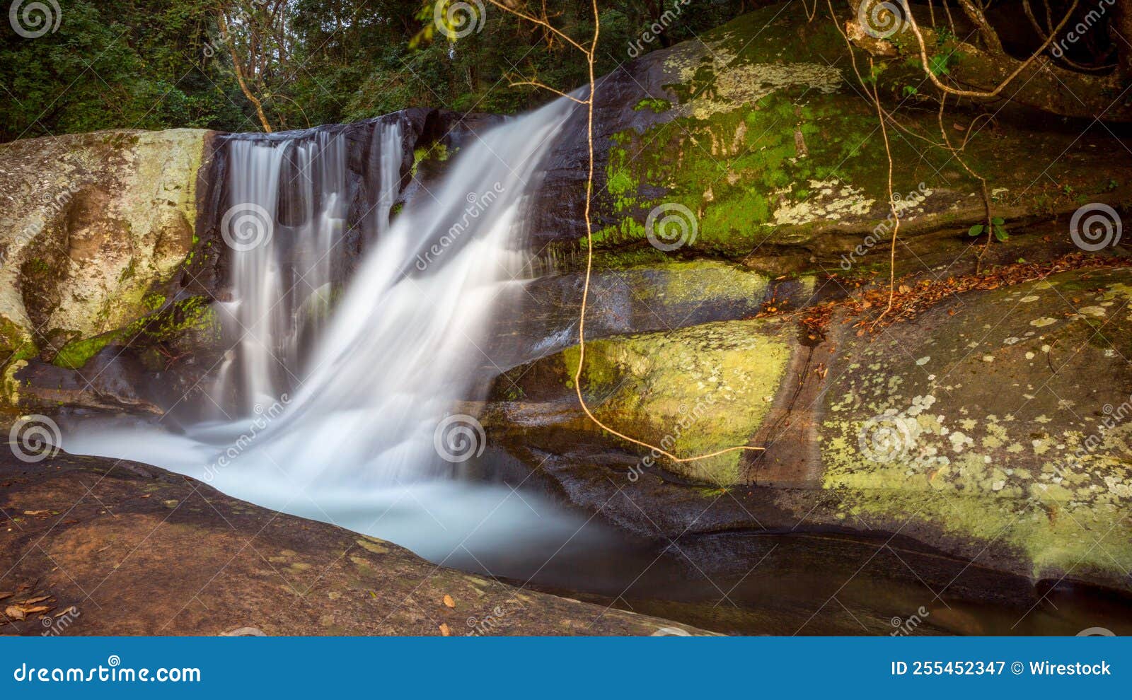 Beautiful View of a Waterfall in Motion in a Forest Stock Image - Image ...