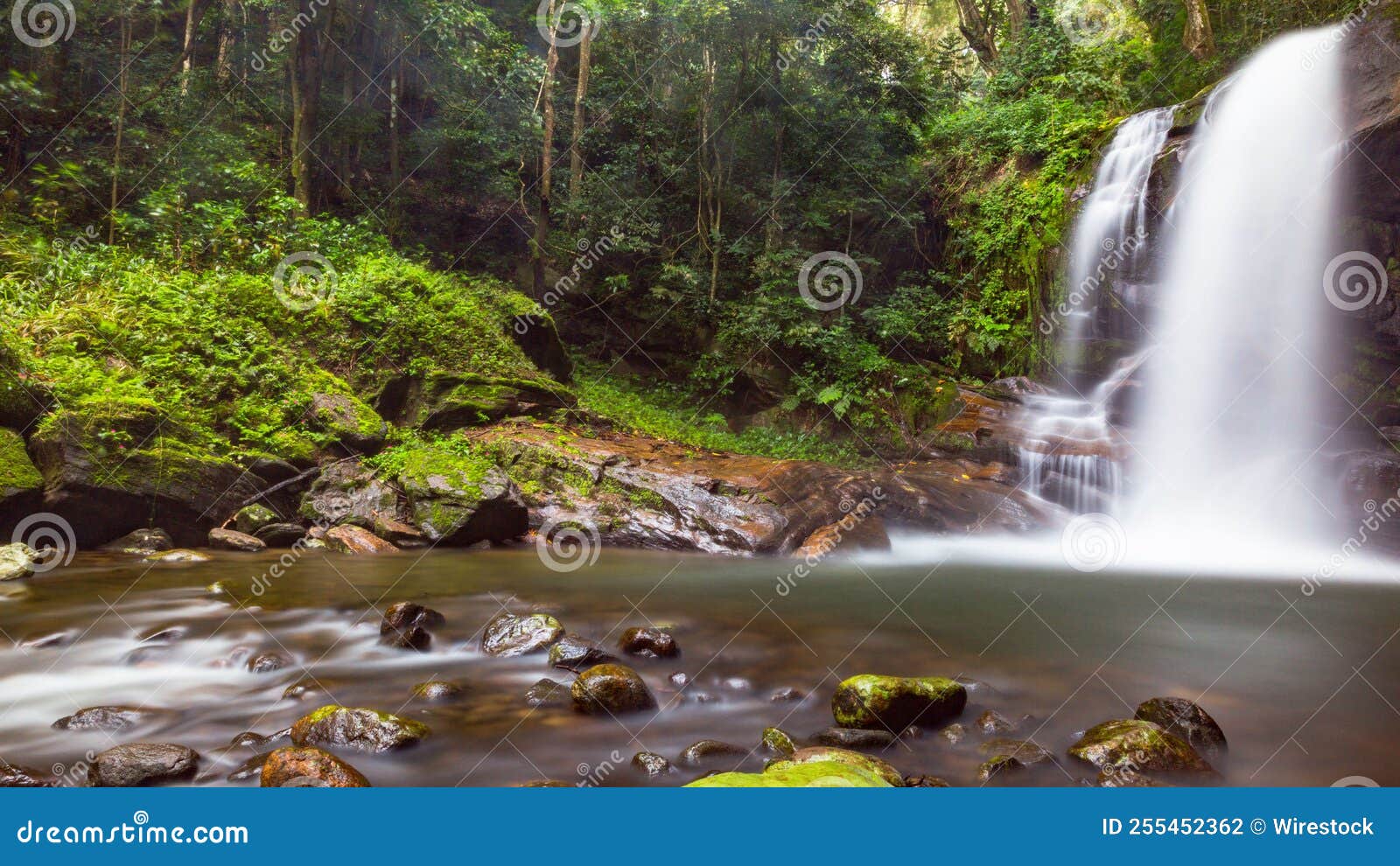 Beautiful View of a Waterfall in Motion in a Forest Stock Photo - Image ...