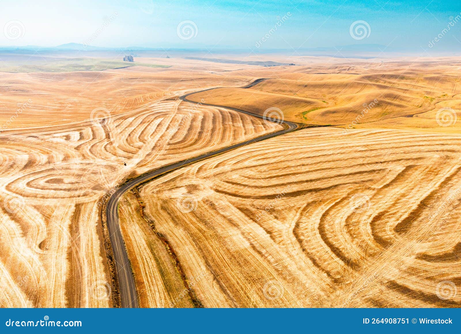 Beautiful View of a Wheat Field with a Rolling Hill Pattern Stock Image ...