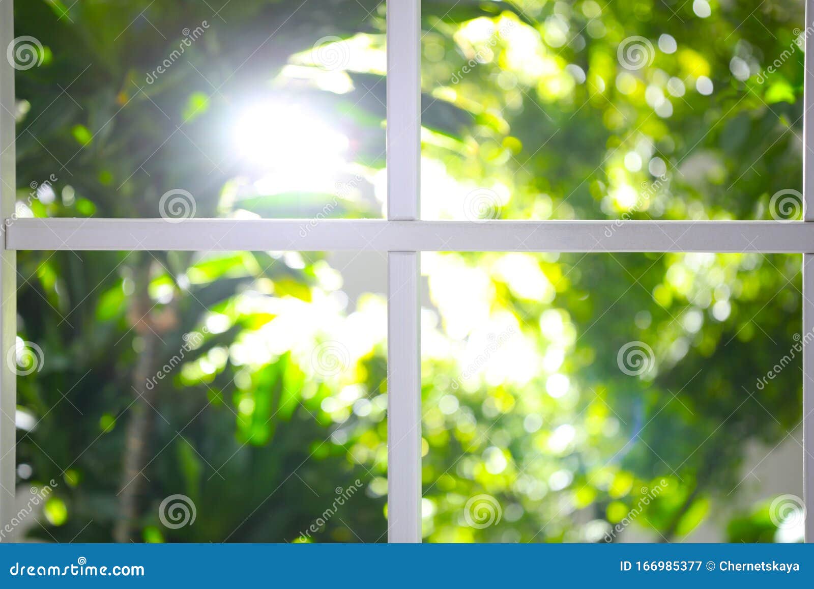 Beautiful View through Window on Garden Stock Image - Image of color ...
