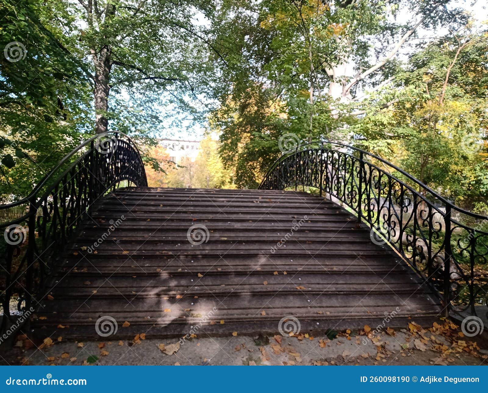 Beautiful View of a Wooden Stair Bridge Under Trees Stock Photo - Image ...