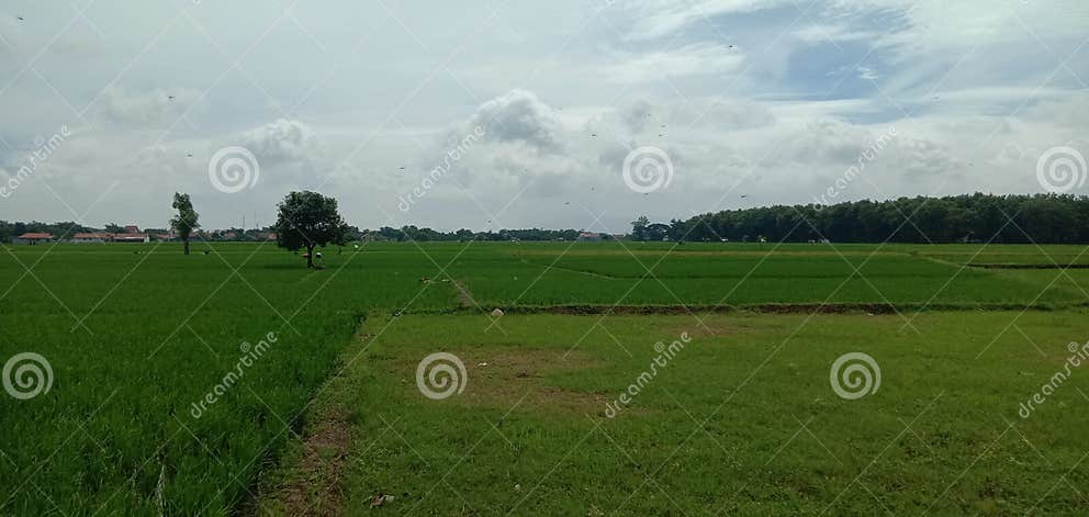 Beautiful Views in the Fields and Mountains Stock Image - Image of ...
