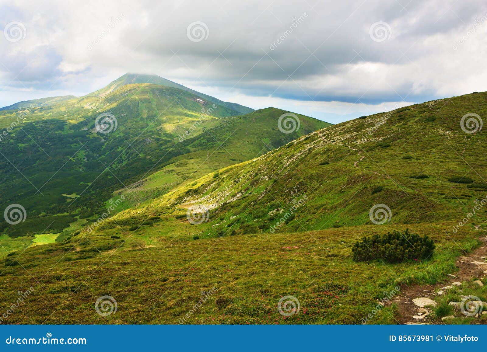 Beautiful views of Hoverla stock image. Image of light - 85673981