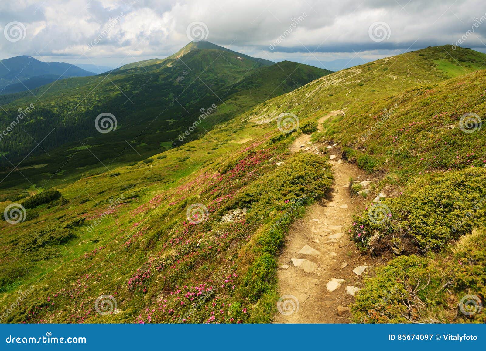 Beautiful views of Hoverla stock image. Image of view - 85674097