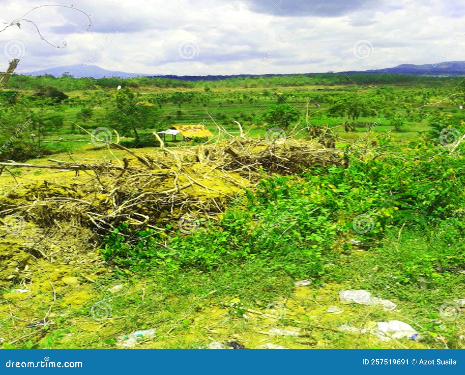 Beautiful Mountain in Sumedang Regency Bordering Subang Regency ...
