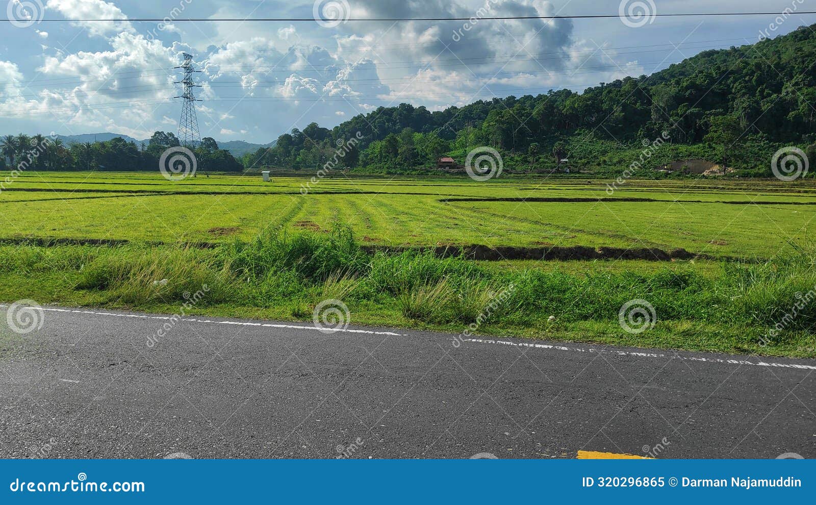 Beautiful Views of Mountains and Rice Fields on the Side of the Highway ...