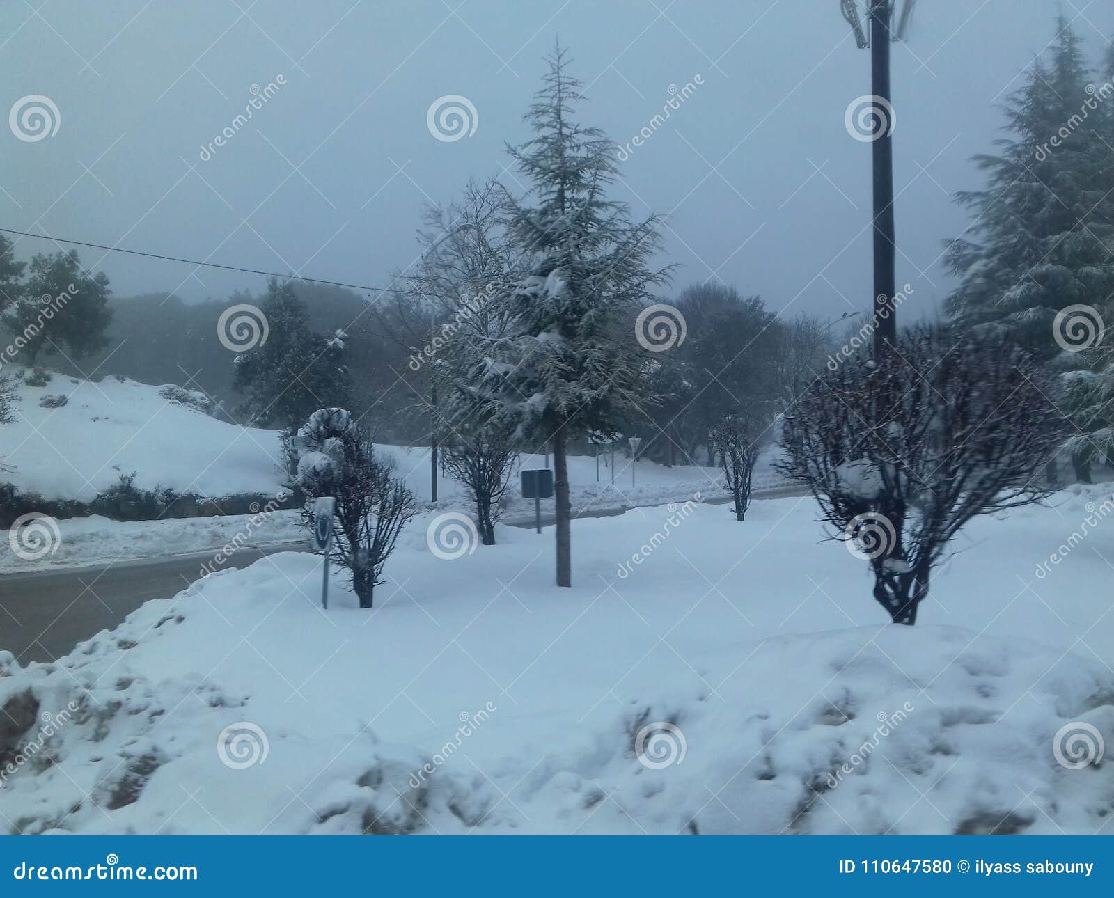 Snow stock photo. Image of beautiful, ifrane, snow, morocco - 110647580