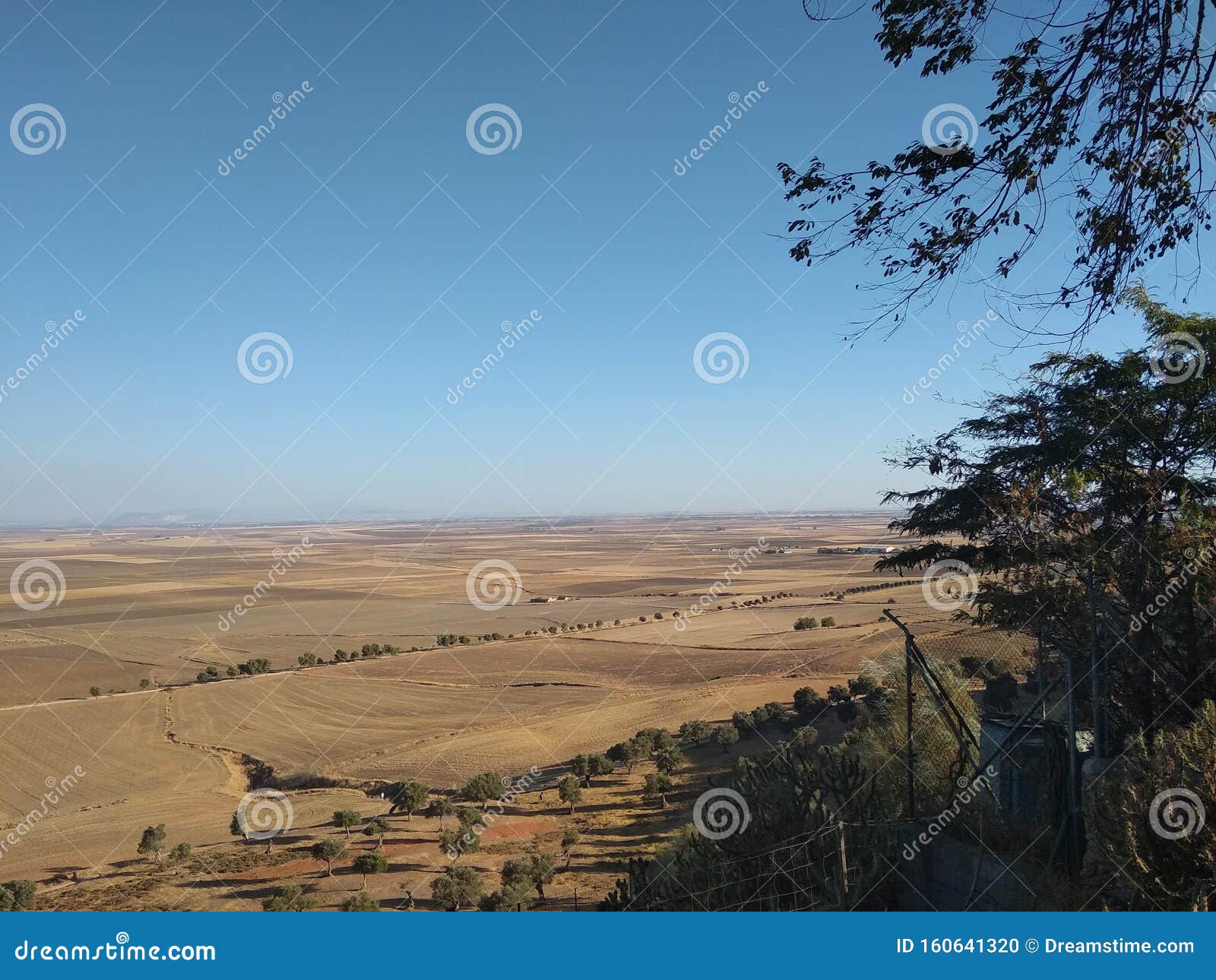 Beautiful views stock photo. Image of trees, field, beautiful - 160641320