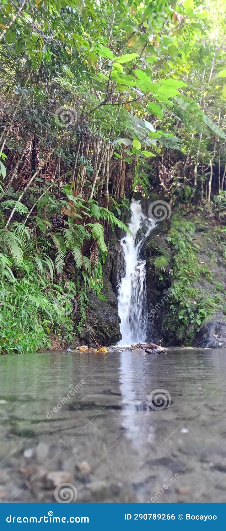 Beautiful Viewwaterfall on a Mountain Stock Photo - Image of mountain ...
