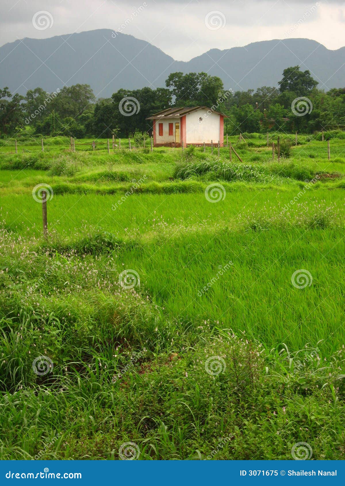 Beautiful Village Farmhouse Stock Image - Image of vast, house: 3071675