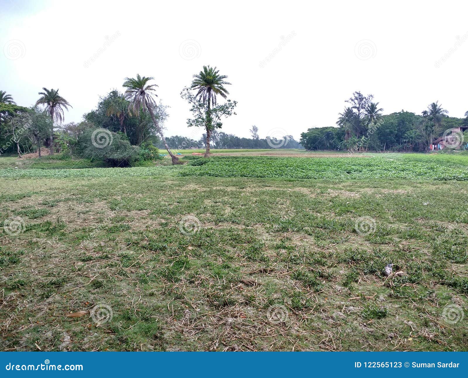 Beautiful village field stock image. Image of villege - 122565123